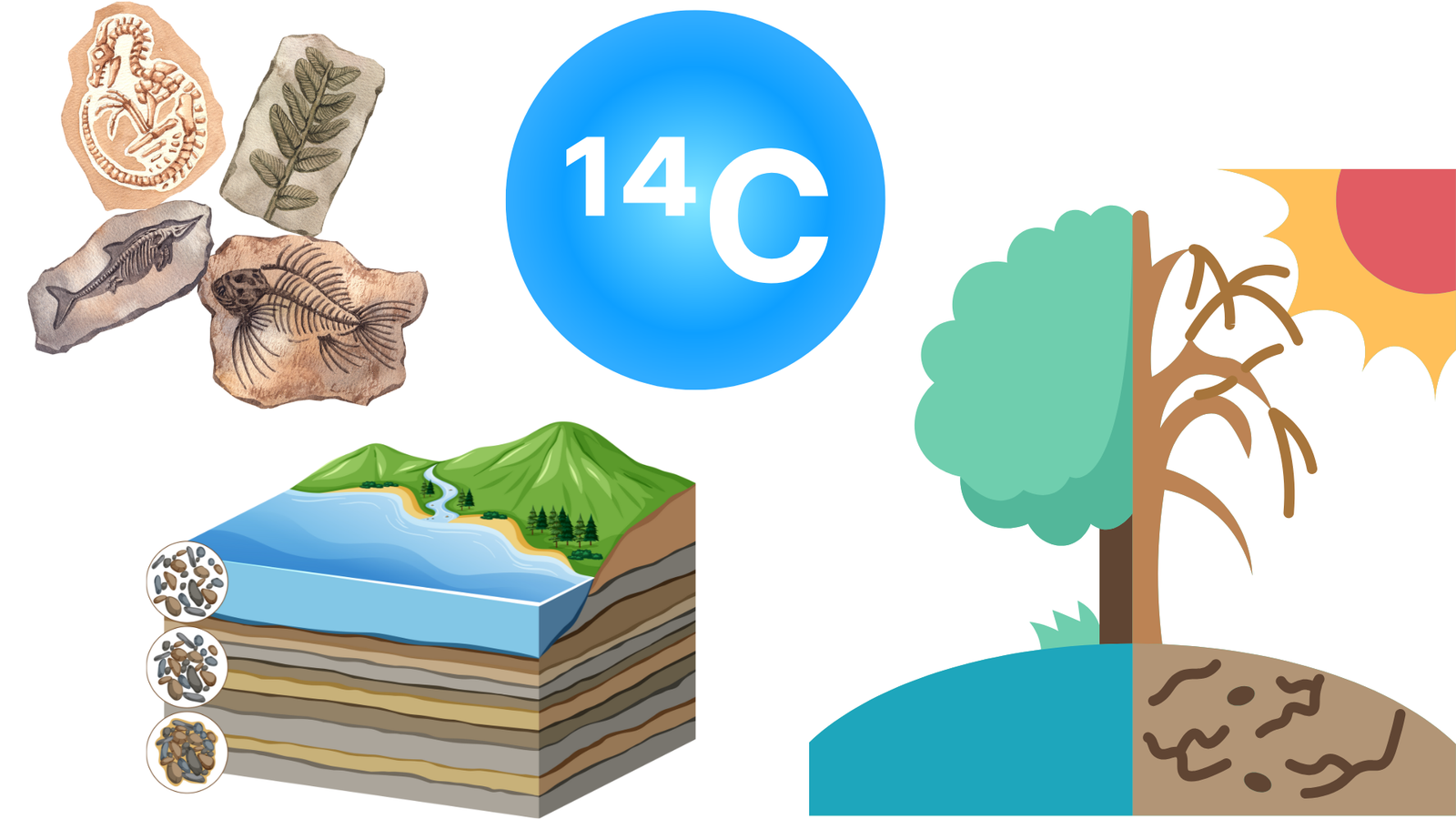 Mass Extinction in Geology: Earth’s Greatest Biological Reset Buttons ...