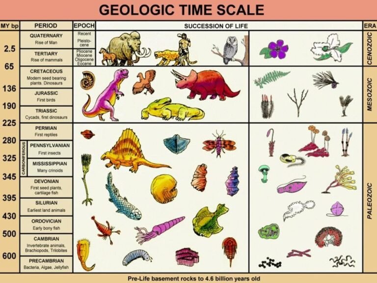 Geological Time Scale - Geology Point