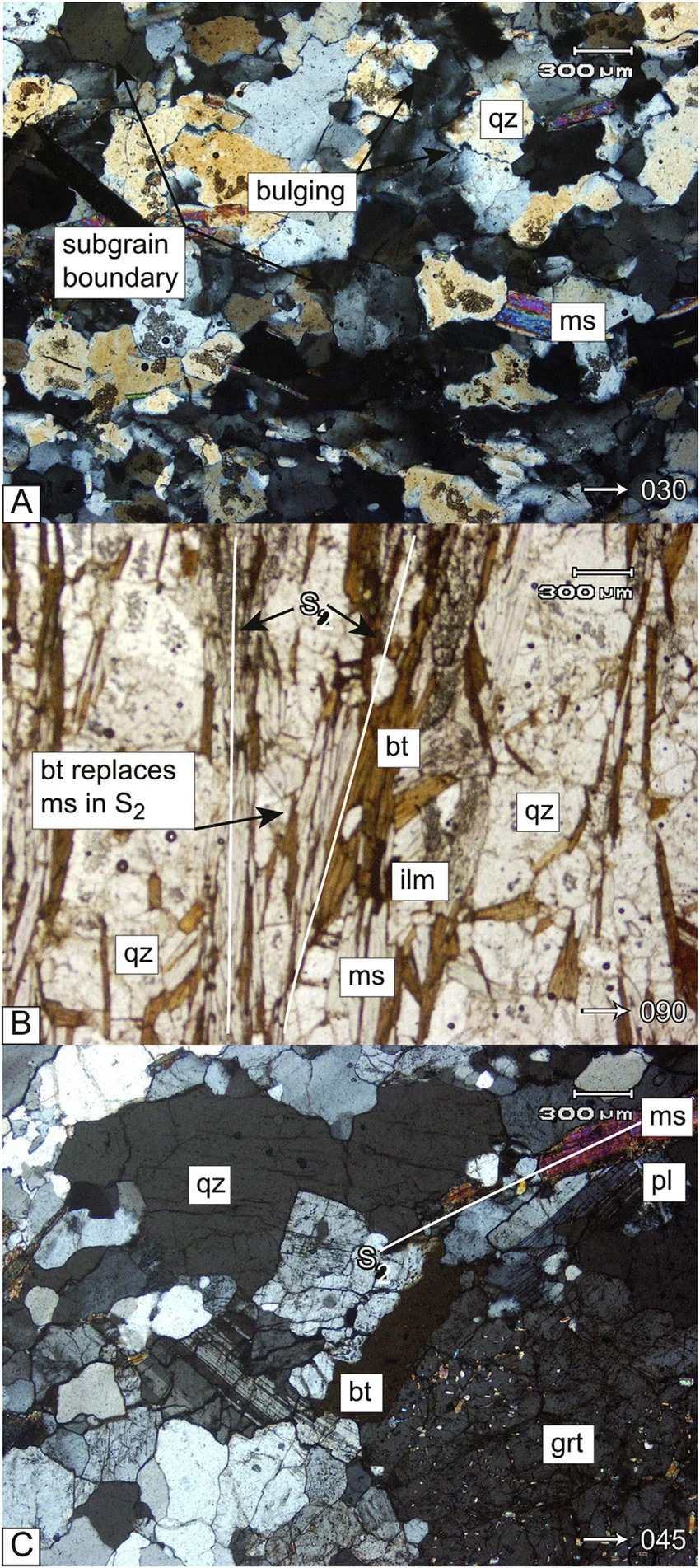 How to Identify Quartz Under a Petrographic Microscope: Complete Guide ...